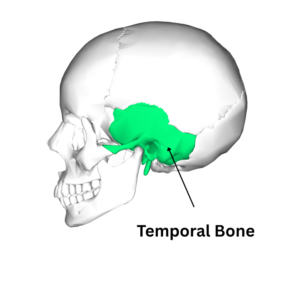 Temporal Bone Infection: A Serious Ear Problem You Shouldn’t Ignore